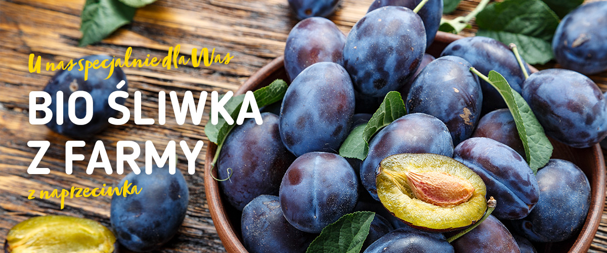 EKO Sklep | BIO Żywność i Produkty Ekologiczne Online - BIOzFarmy